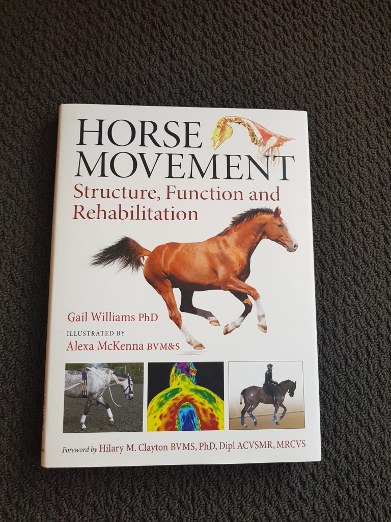 Horse Movement – Avoca Park