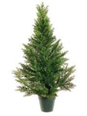 faux cedar tree rental ottawa